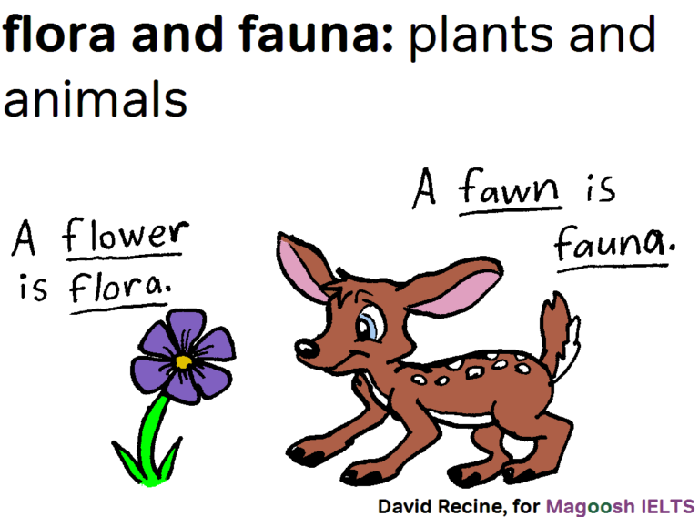 IELTS Science Vocabulary: Life Sciences, Plants, and Animals - Magoosh ...