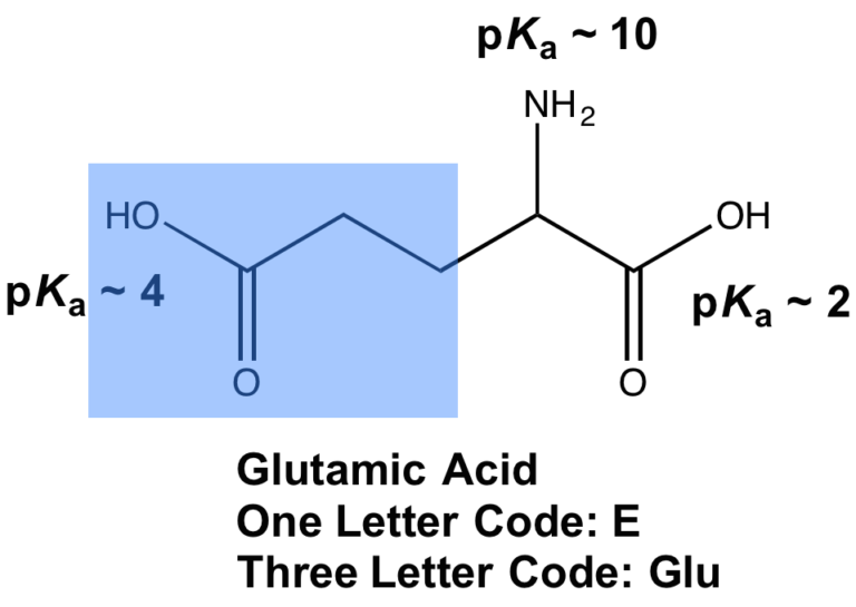 MCAT Amino Acids: What to Know - Magoosh MCAT Blog