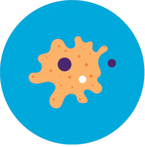 MCAT Biology: 5 Must Know Biology Concepts & Study Tips