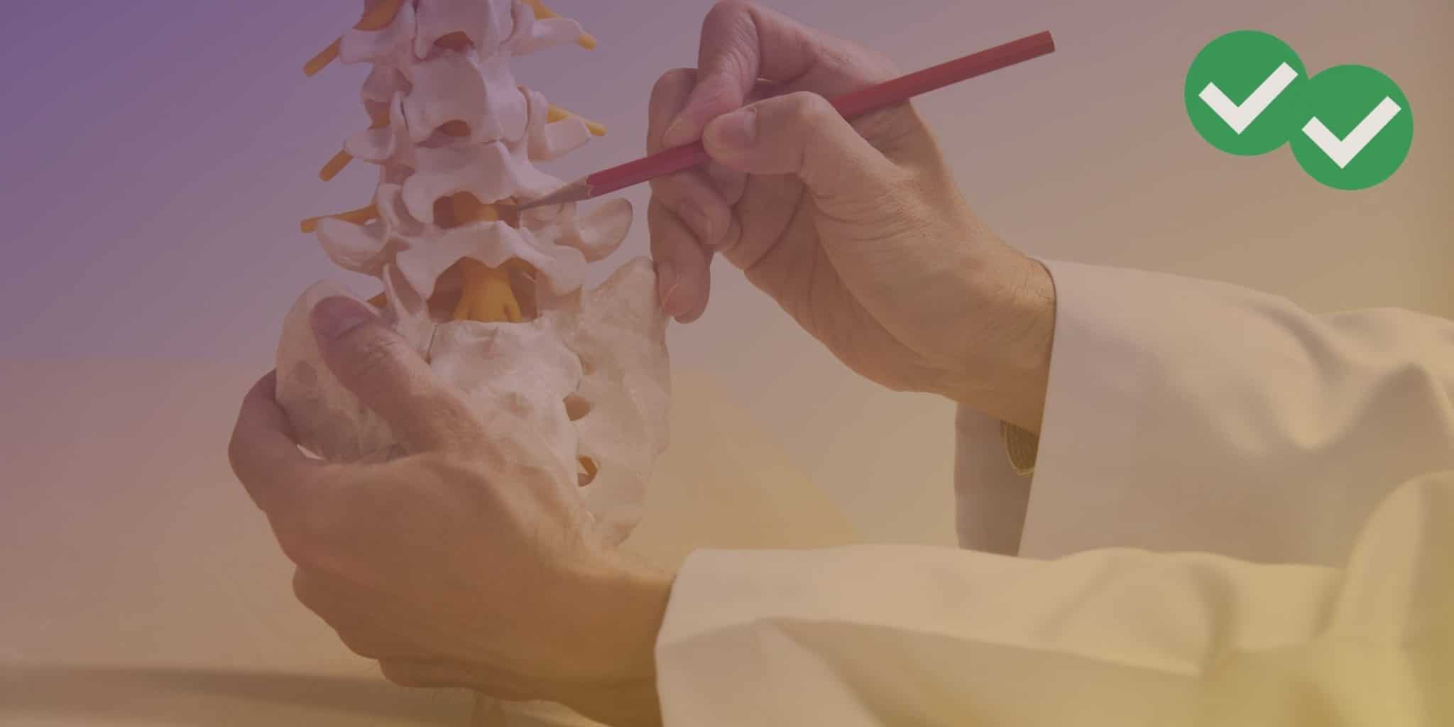 MCAT Bone, Cartilage, Joints - Musculoskeletal System - Biological and ...