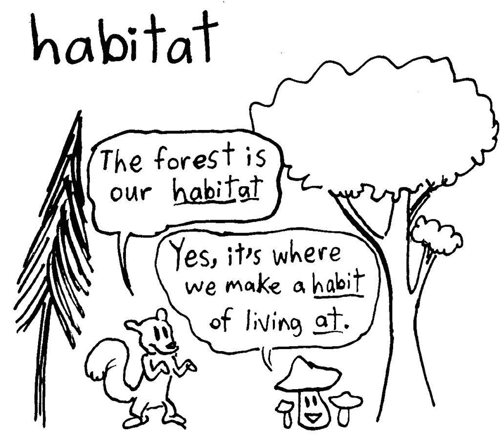 Magoosh Comics: Reviewing Animal Words - Magoosh Blog – TOEFL®️ Test